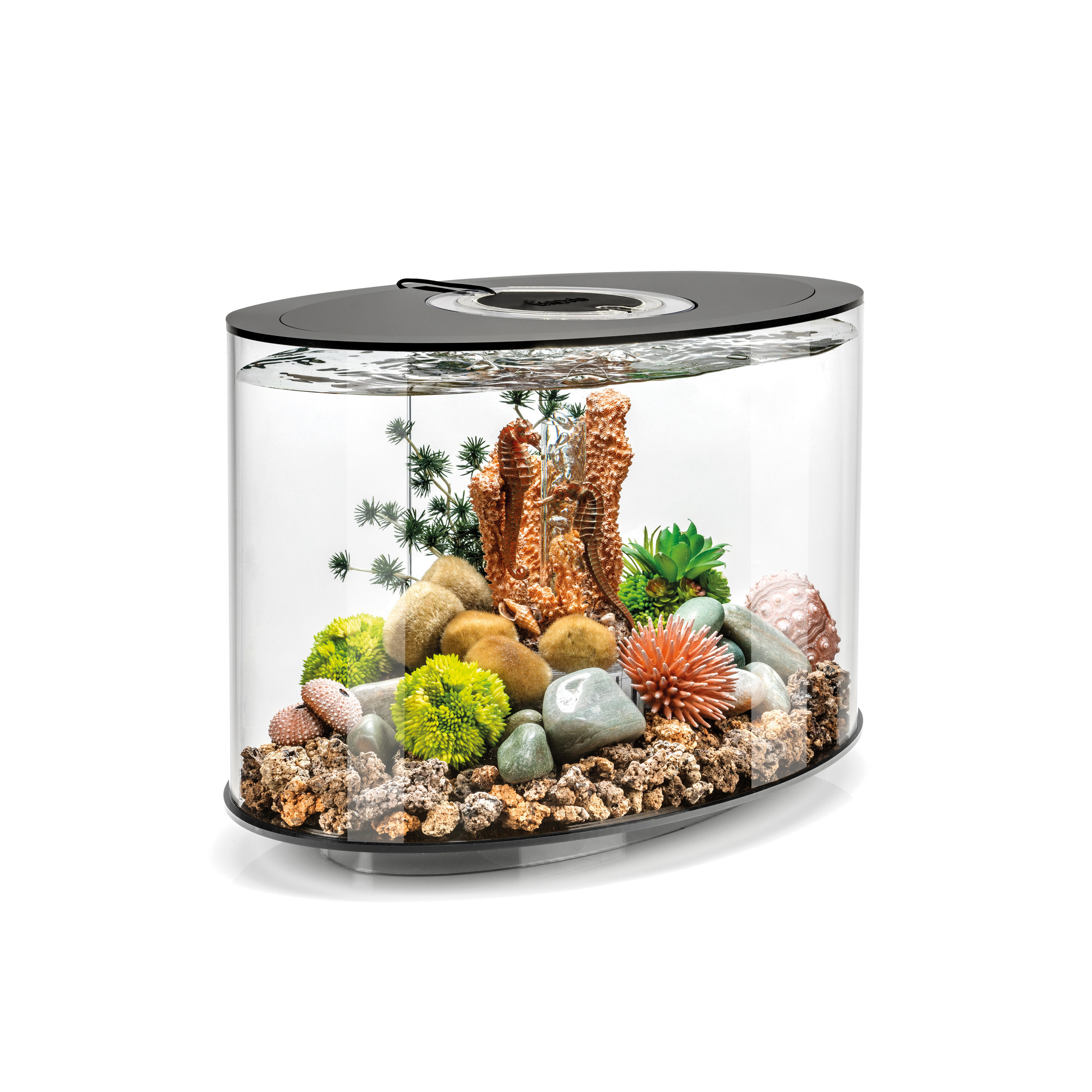 biOrb 4 Gallon Semi-Circle Aquarium Tank - Wayfair Canada
