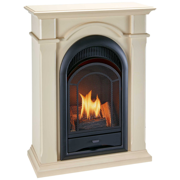 ProCom Dual System Vent-Free Natural Gas/Propane Fireplace | Wayfair