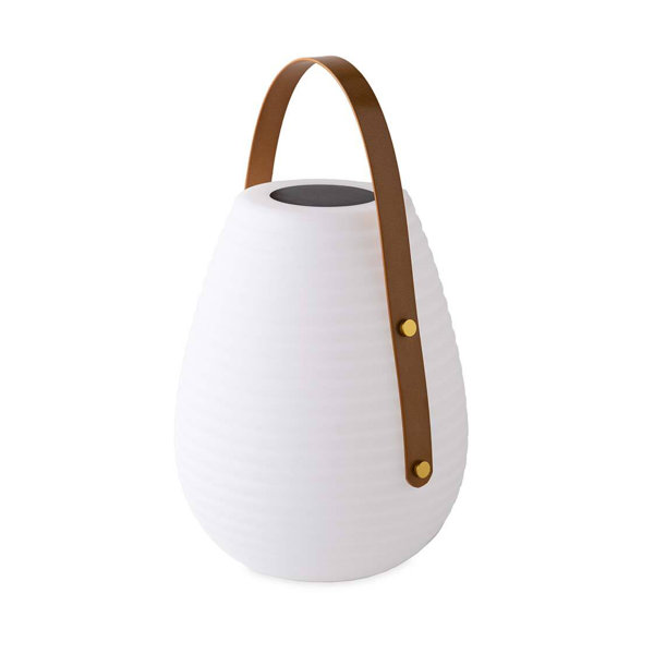 18.5" Solar Powered Outdoor Lantern | AllModern