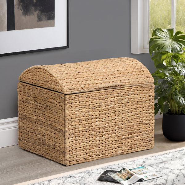 Highland Dunes Heavy-duty Water Hyacinth Wicker Storage Trunk with ...