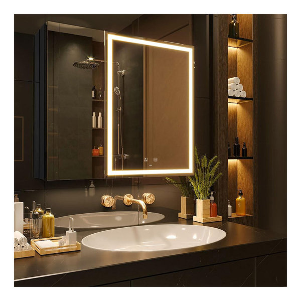 Brayden Studio® 30 x 28 Inch Double Doors LED Lighted Bathroom Medicine ...