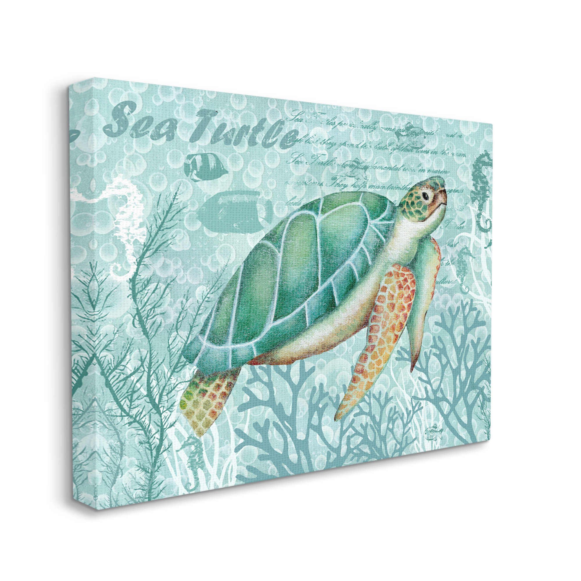 Stupell Industries Coral Bordered Sea Turtle Seahorse Script ...