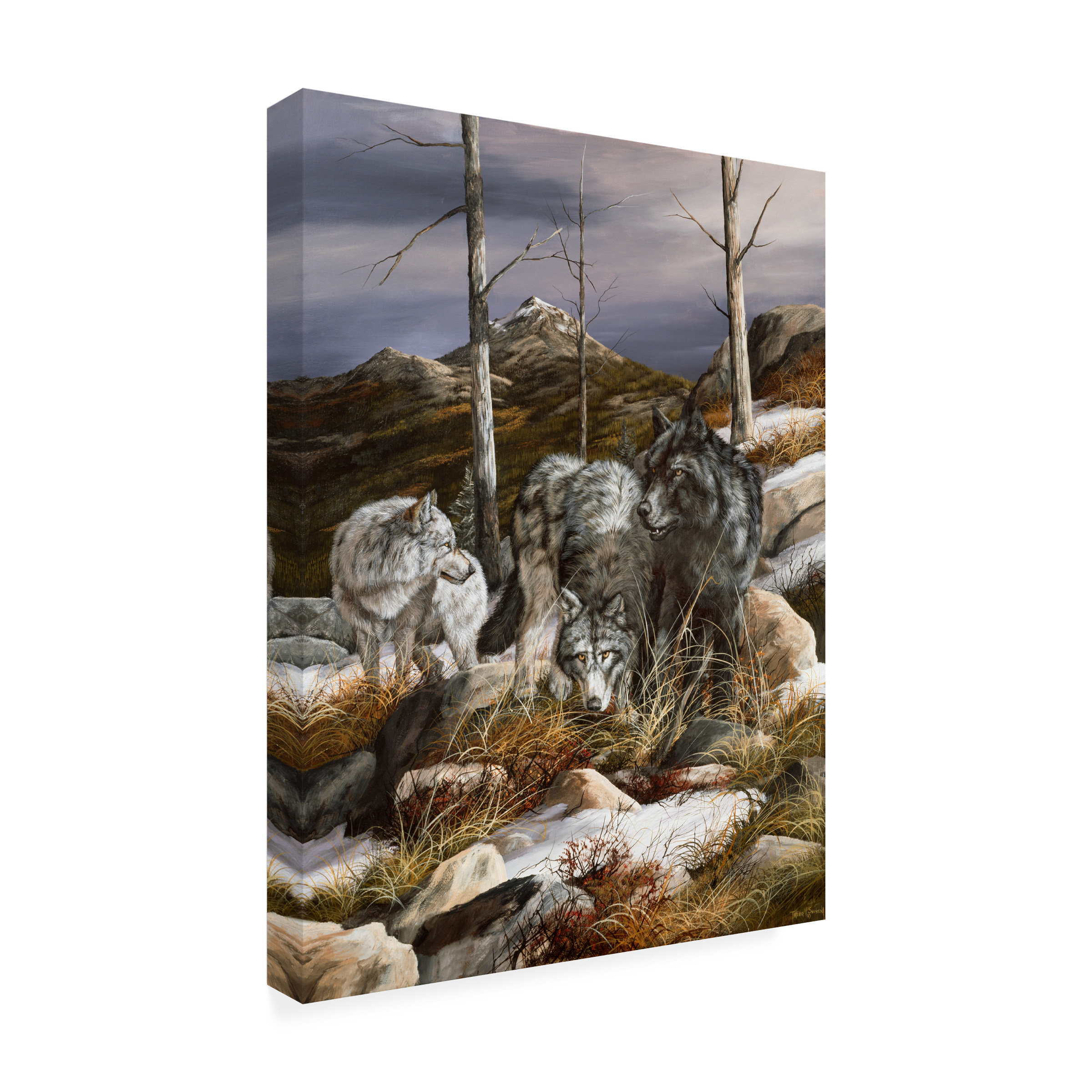 Winston Porter Trevor V. Swanson 'Watchful Scouts' Canvas Art - Wayfair ...