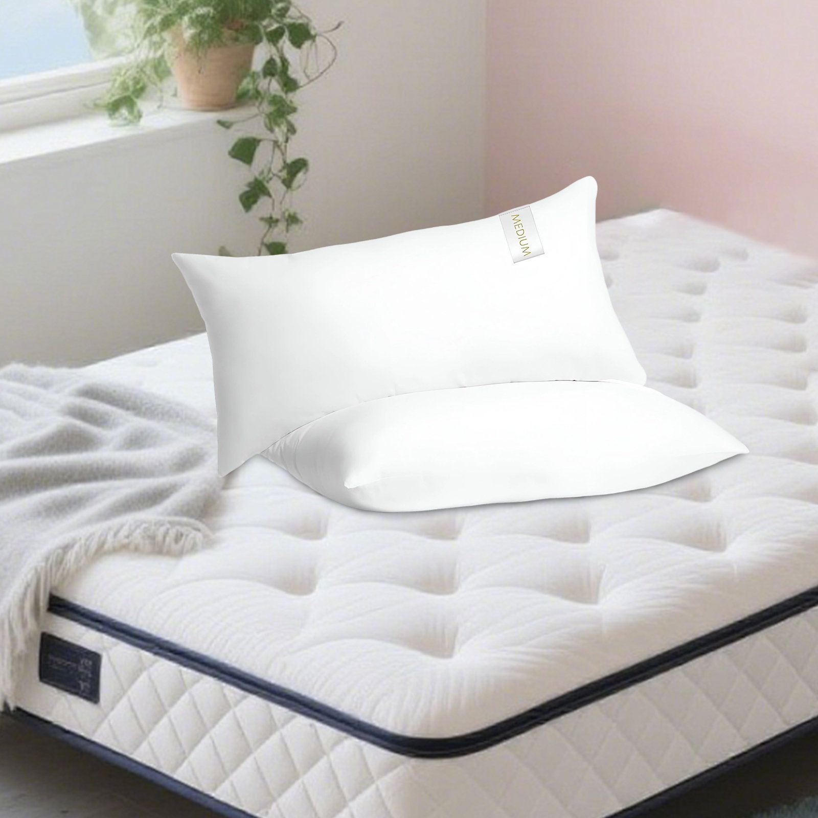 Alwyn Home 2 Pack Pillows, 100% Cotton Pillows With Down, Alternative ...
