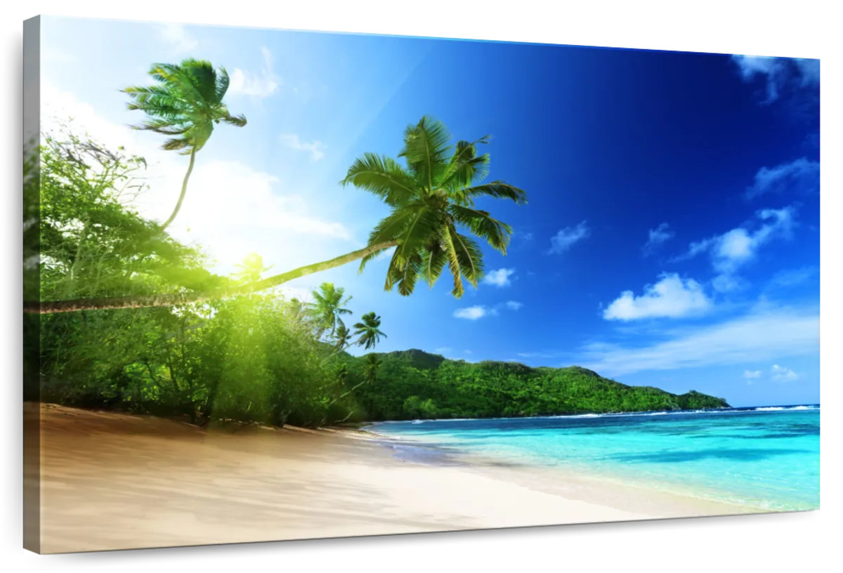 Elephant Stock Seychelles Mahe Island | Wayfair