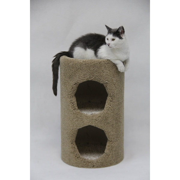 Tucker Murphy Pet™ Isabelle 21'' H Cat Tree & Reviews | Wayfair