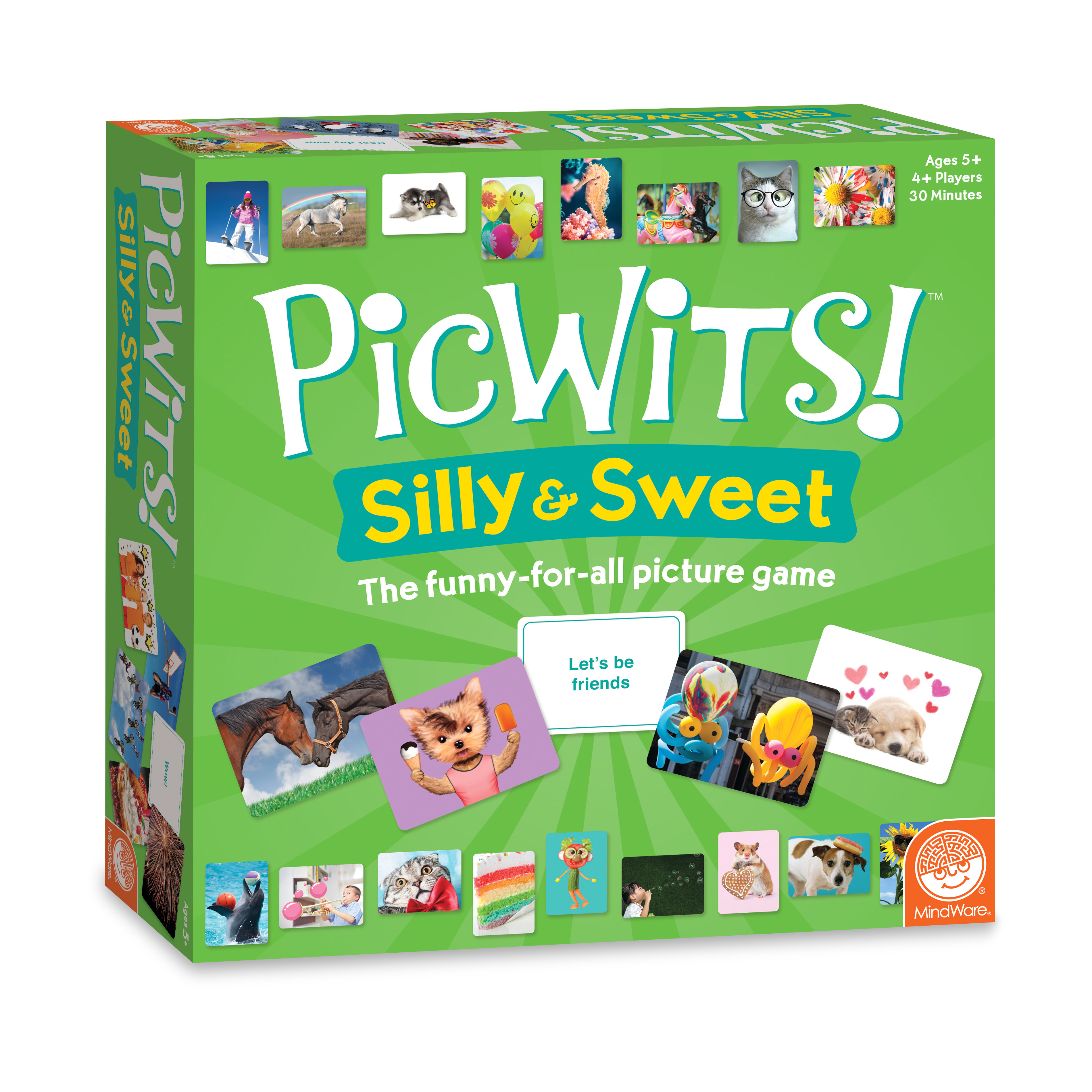 MindWare PicWits! Silly & Sweet | Wayfair