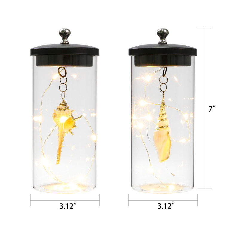 Dovecove 2 Piece Sea Shell Pendant Decorative Lamp Battery Powered ...