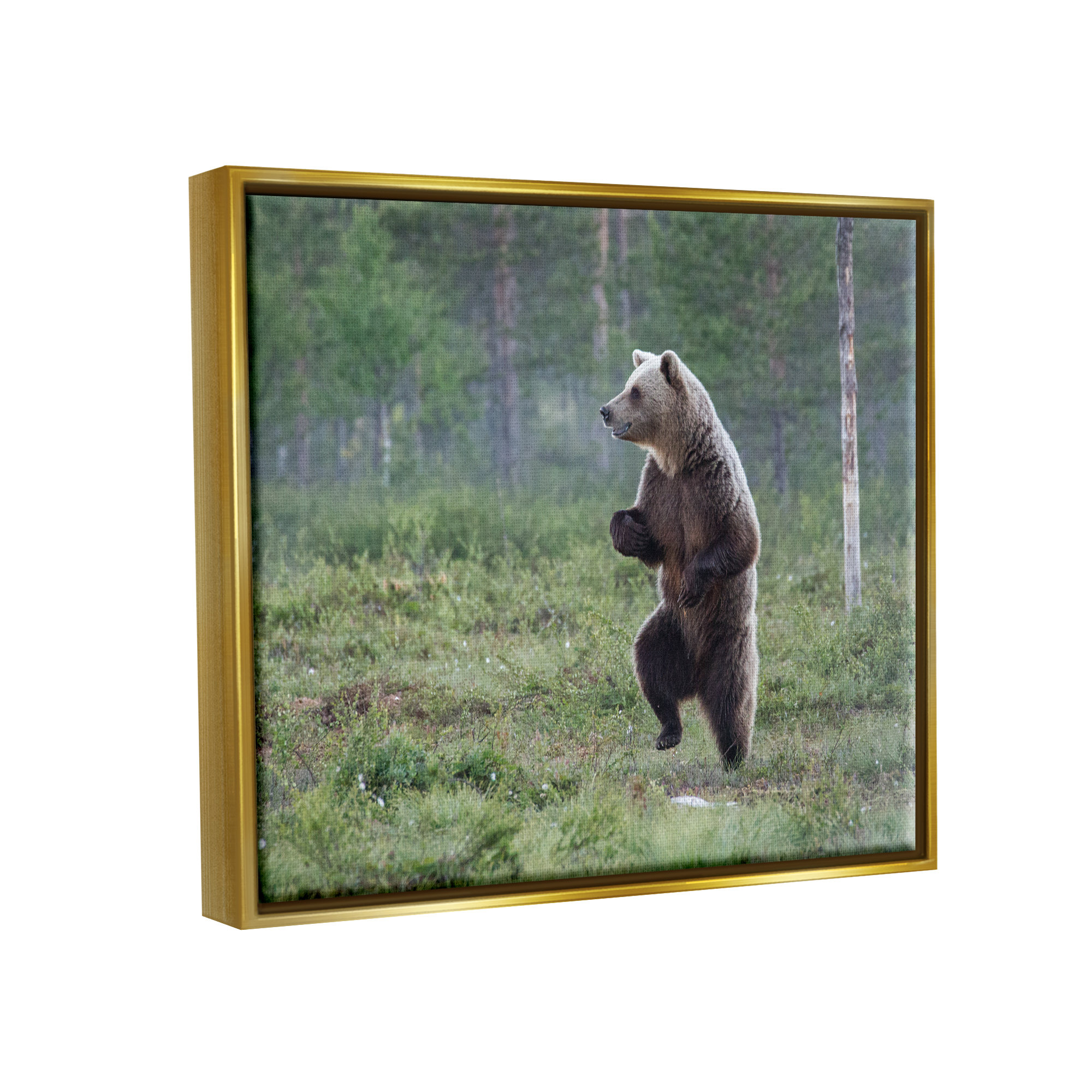 Millwood Pines Dancing Bear In Forest Framed On Canvas by Alex Jevon ...