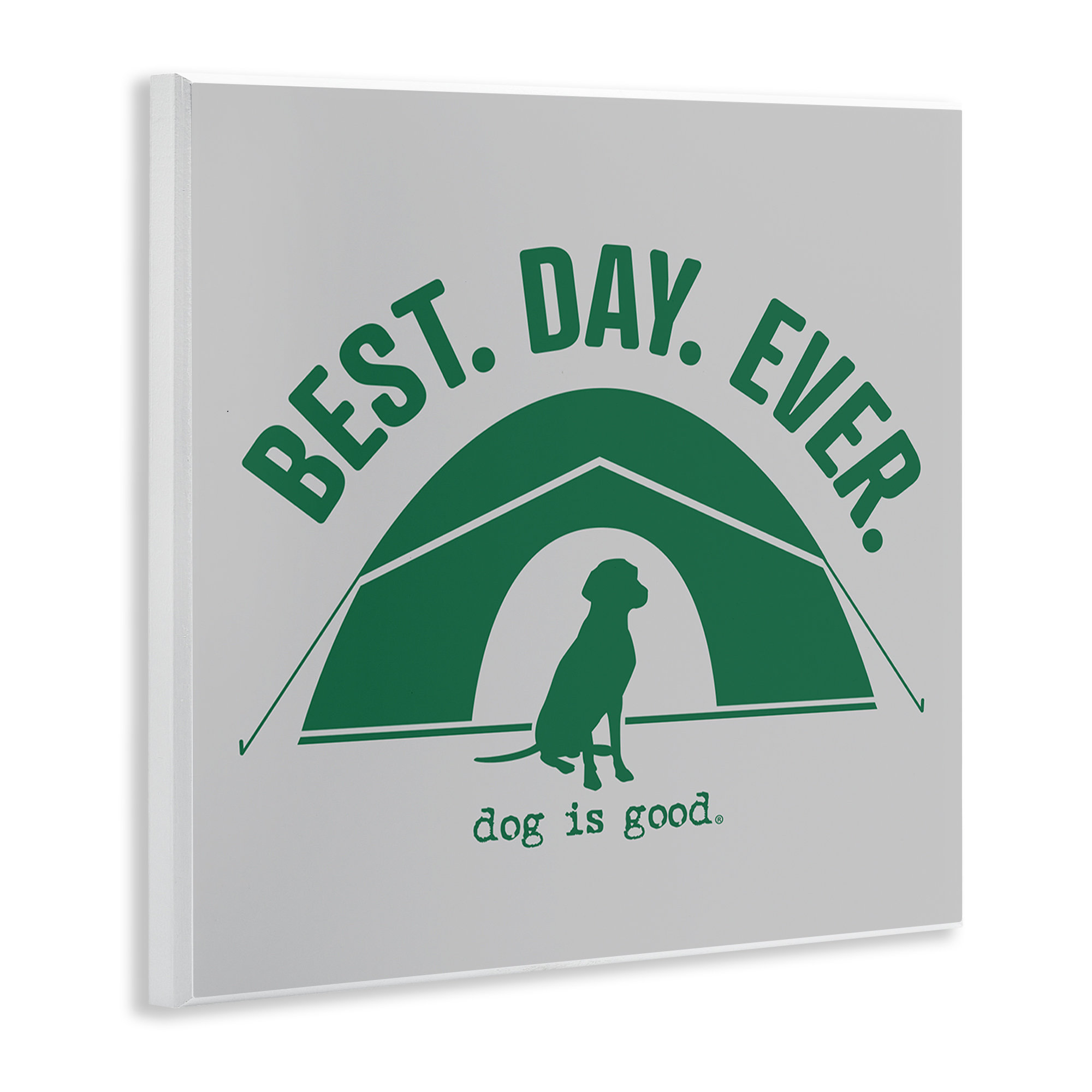 Ophelia & Co. Best Day Camping Dog Wall Plaque Art by Dog Is Good | Wayfair