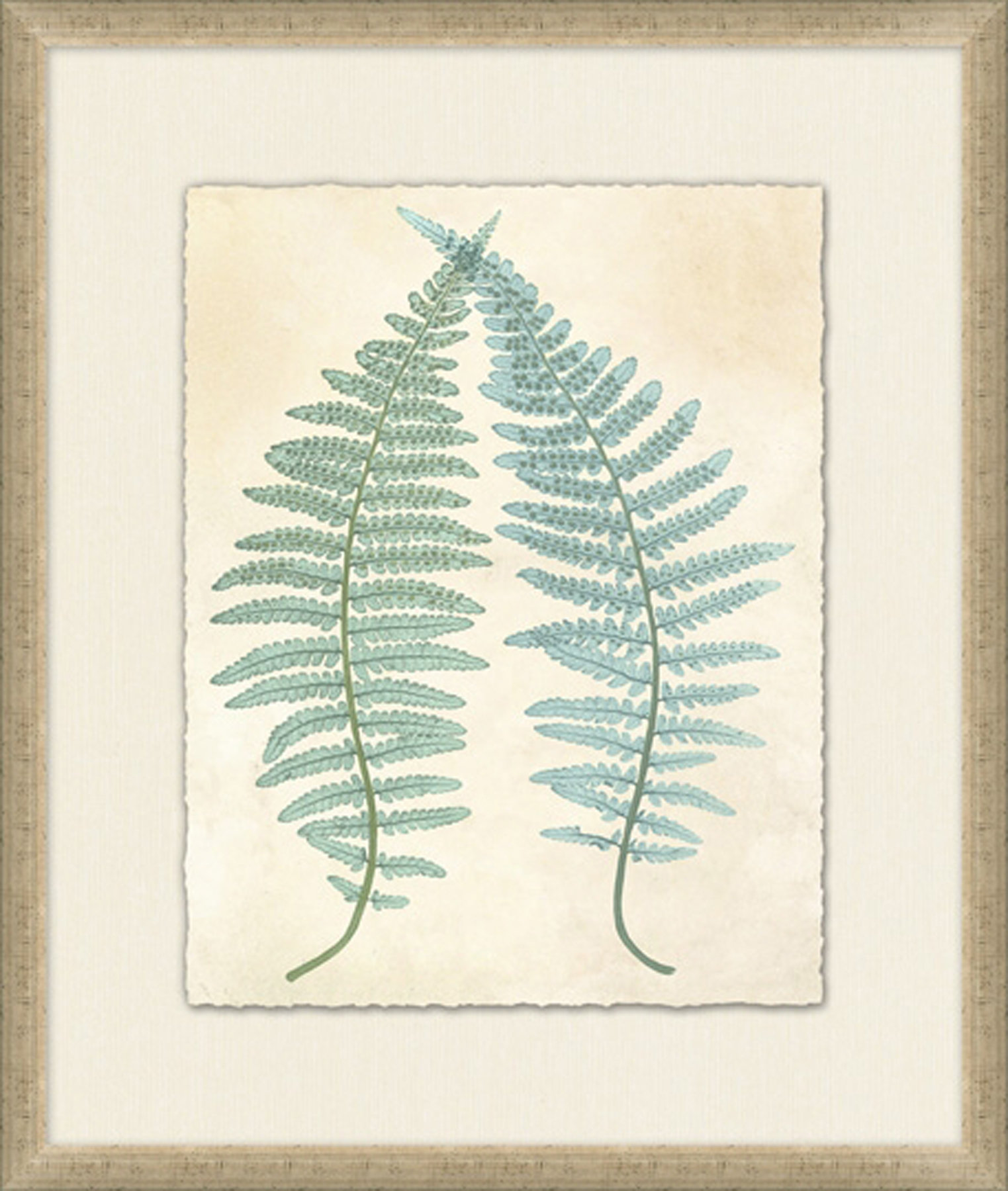 Wendover Art Group Spring Ferns 4 - Picture Frame Painting on Paper ...