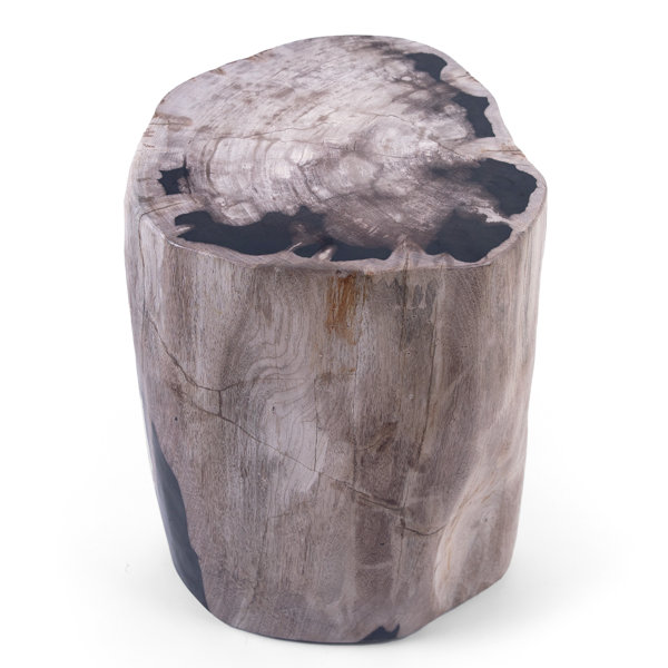 Daribali Design Fossil Relics Side Table Stone Wood | Wayfair