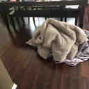 Coma Inducer Primal Leopard Coma Inducer Velvet Oversized Comforter Set ...