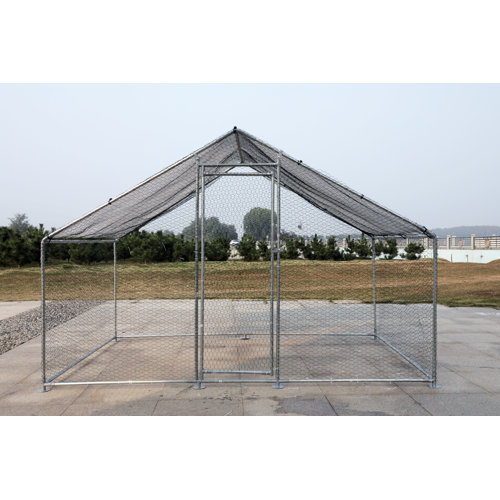 Tucker Murphy Pet™ Crellen Metal Chicken Run Coop, Walk-in Poultry Cage ...