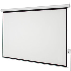 Ktaxon White 100" Electric Projection Screen & Reviews | Wayfair