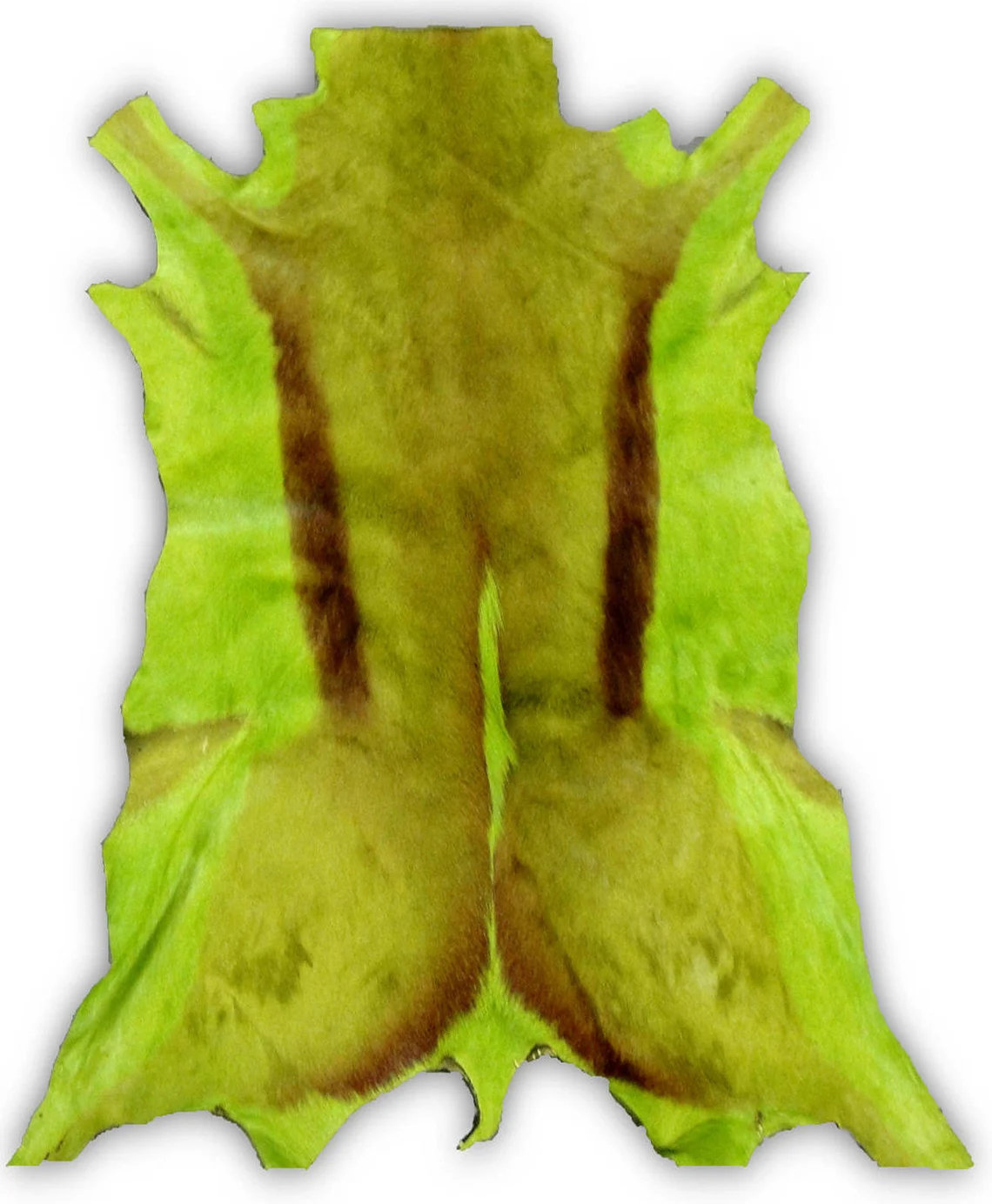 Loon Peak Dyed Lime Green Real Springbok Skin | Wayfair