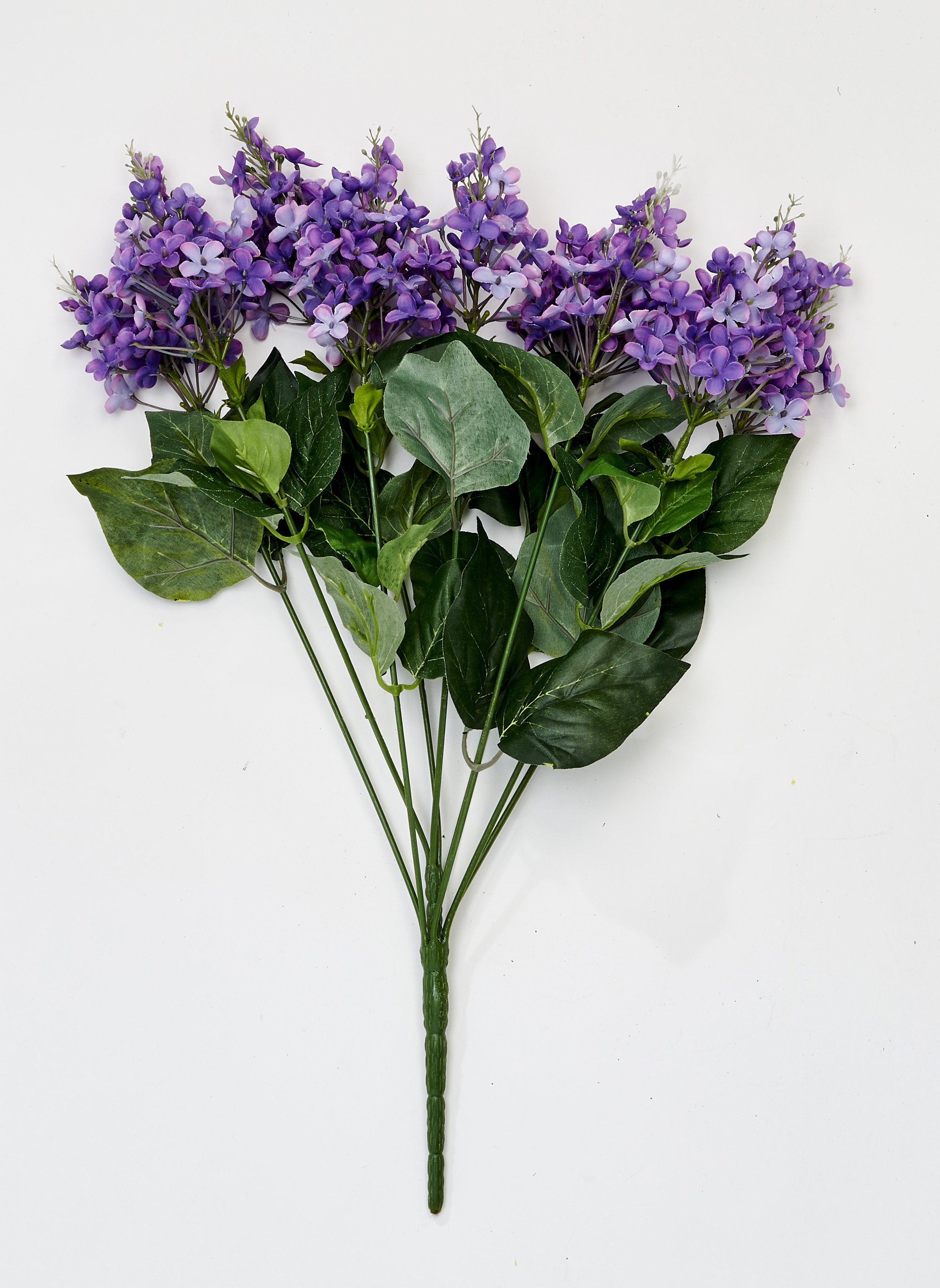 Primrue Bush | Wayfair