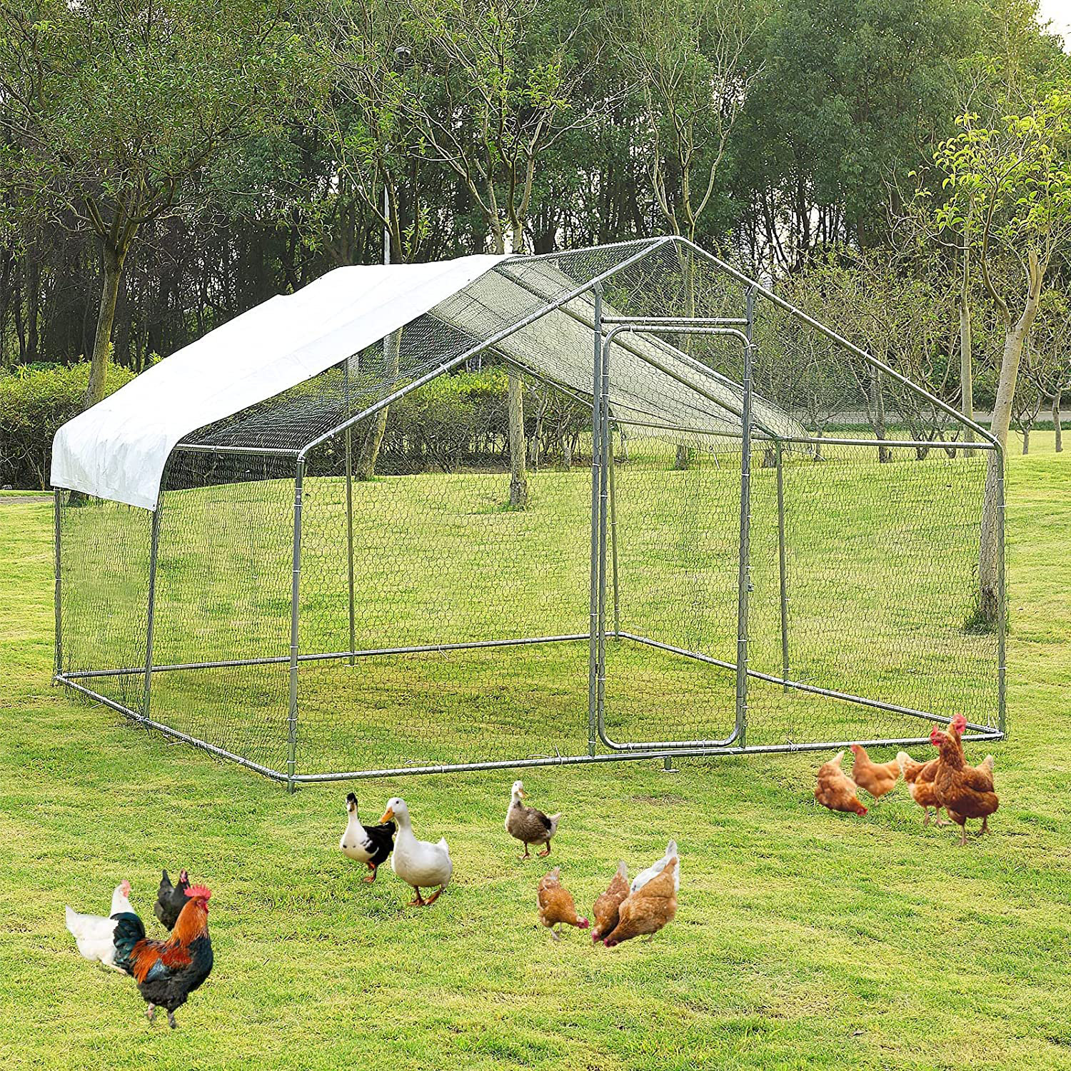 Tucker Murphy Pet™ Walk In Chicken Run For Up To 72 Chickens & Reviews ...