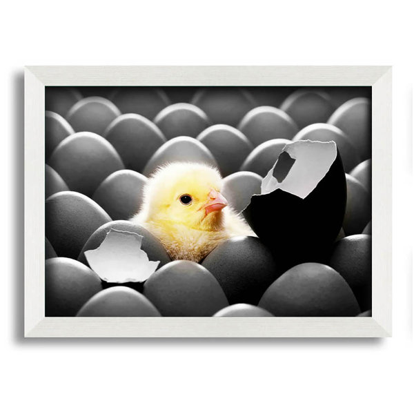 Brayden Studio Chick Hatching - Single Picture Frame Art Prints ...
