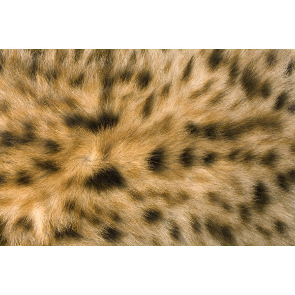 Ebern Designs Skin's Texture of Hyena by Witr - Wrapped Canvas ...