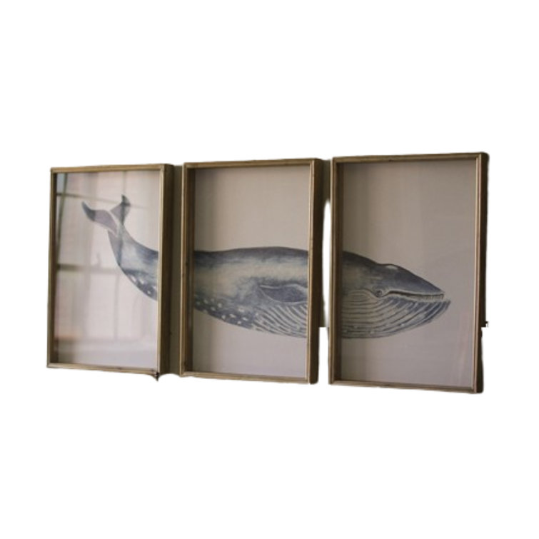 Latitude Run® Modern Rectangular Framed Whale Triptych Print Under ...