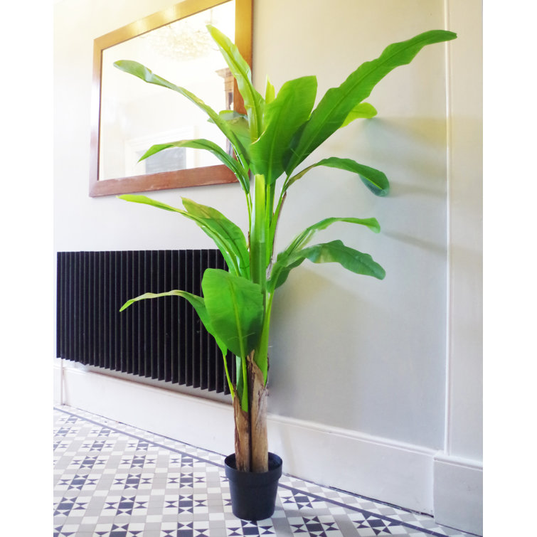 Leaf 180cm Faux Banana Leaf Plant in Pot | Wayfair.co.uk