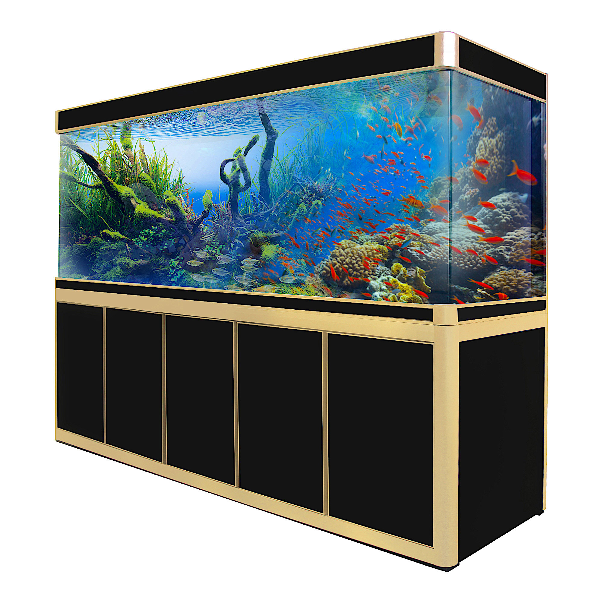 AQUA DREAM 360 Gallons Rectangle Aquarium Tank | Wayfair