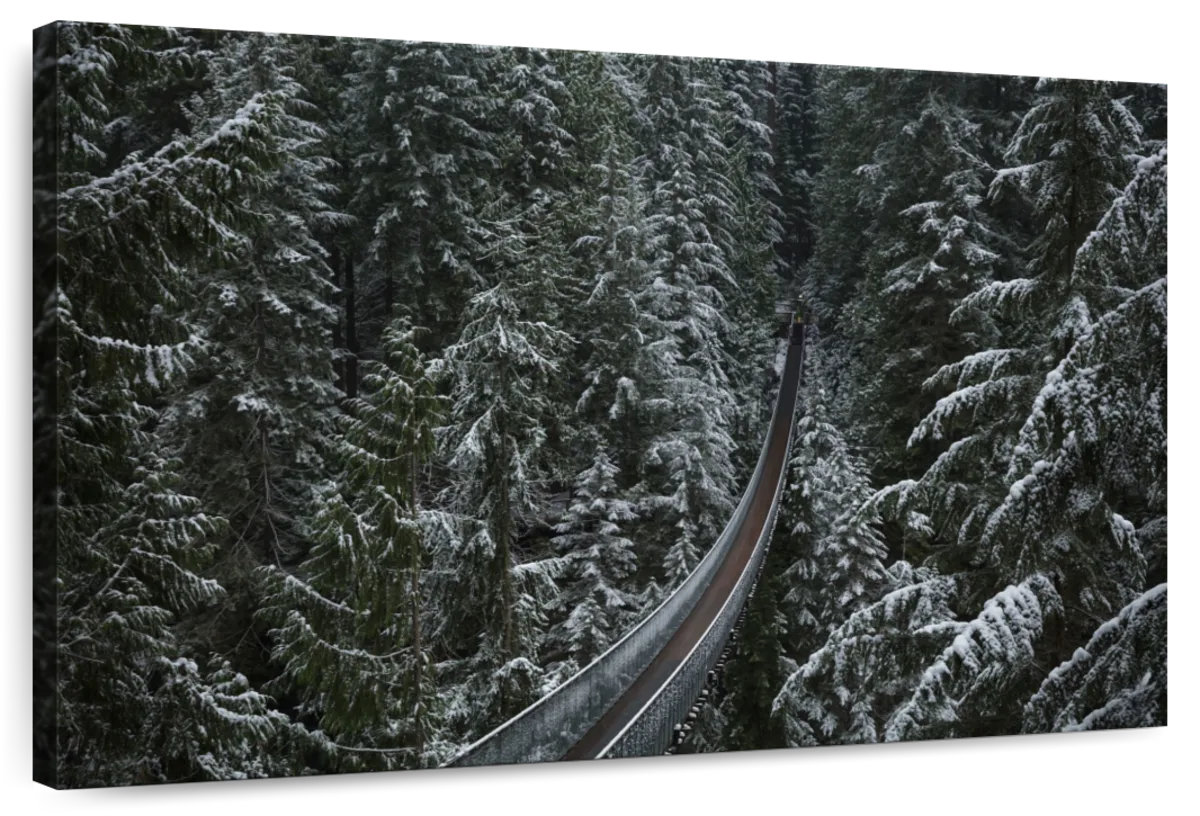 Millwood Pines Alvord Capilano Suspension Bridge - Wayfair Canada