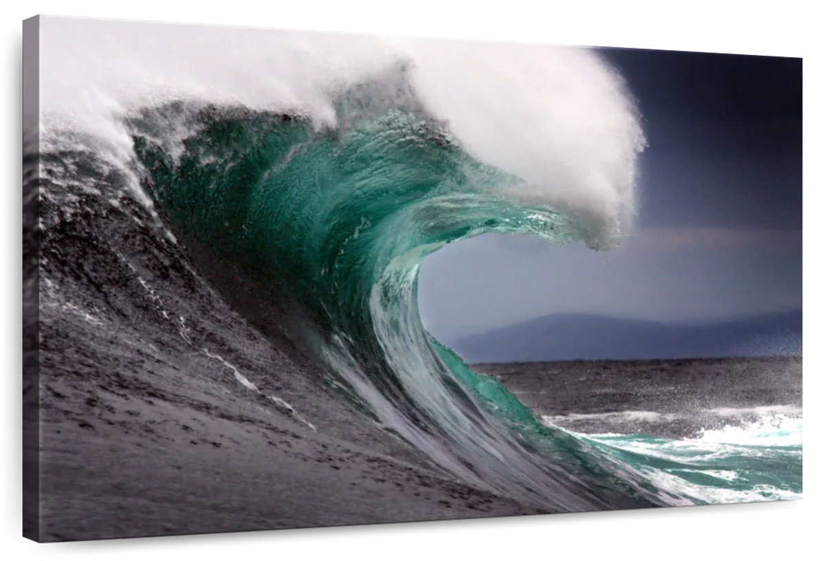 Elephant Stock Ocean Wave Arch | Wayfair