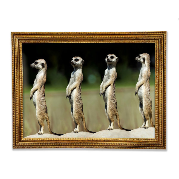 Ebern Designs Meerkat Team - Single Picture Frame Print | Wayfair.co.uk