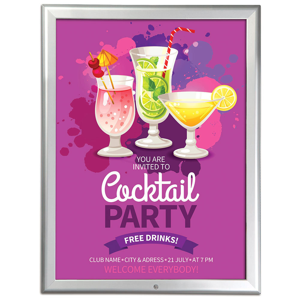 MT Displays Lockable Snap Frame | Wayfair