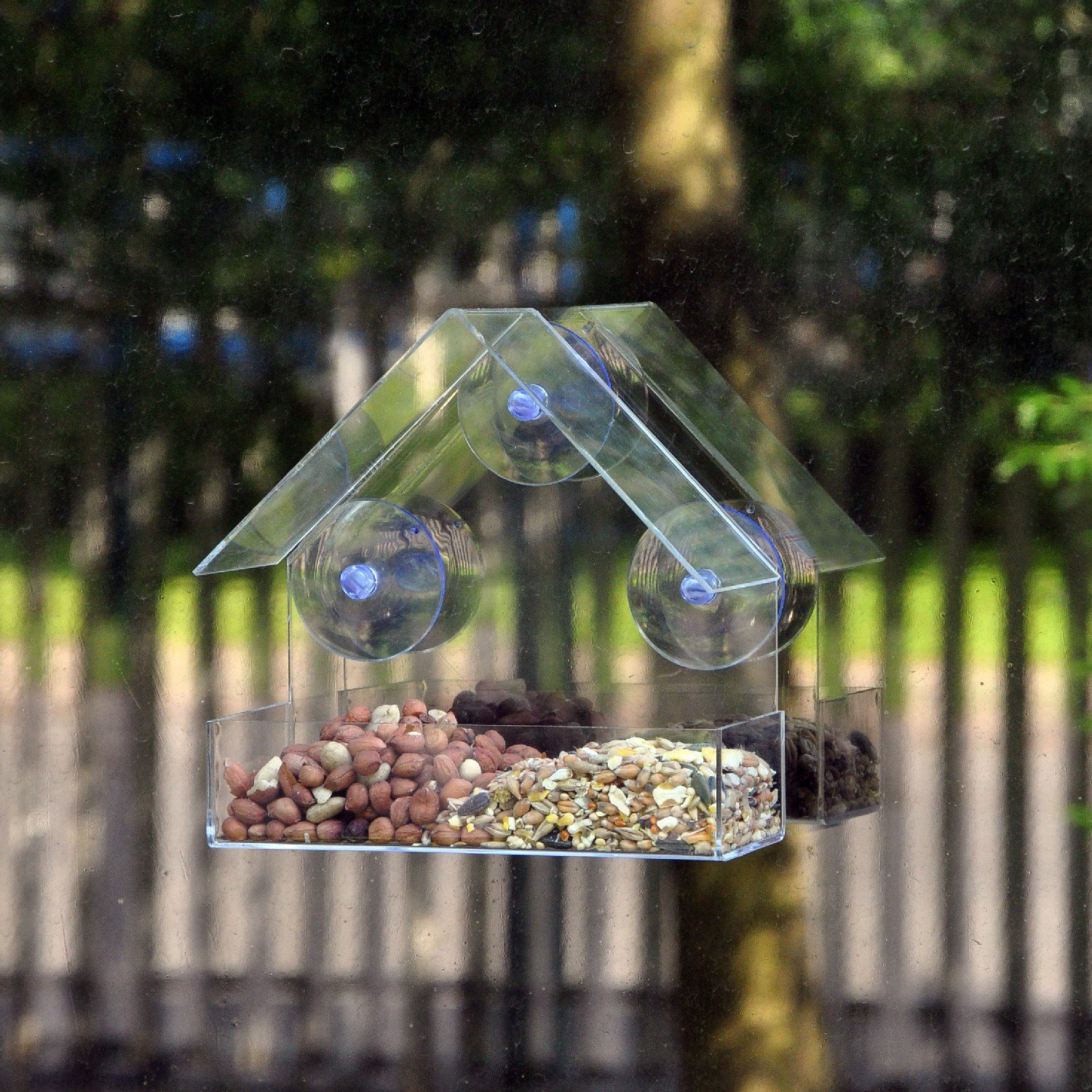 Archie & Oscar Bundy Window Bird Feeder & Reviews | Wayfair.co.uk