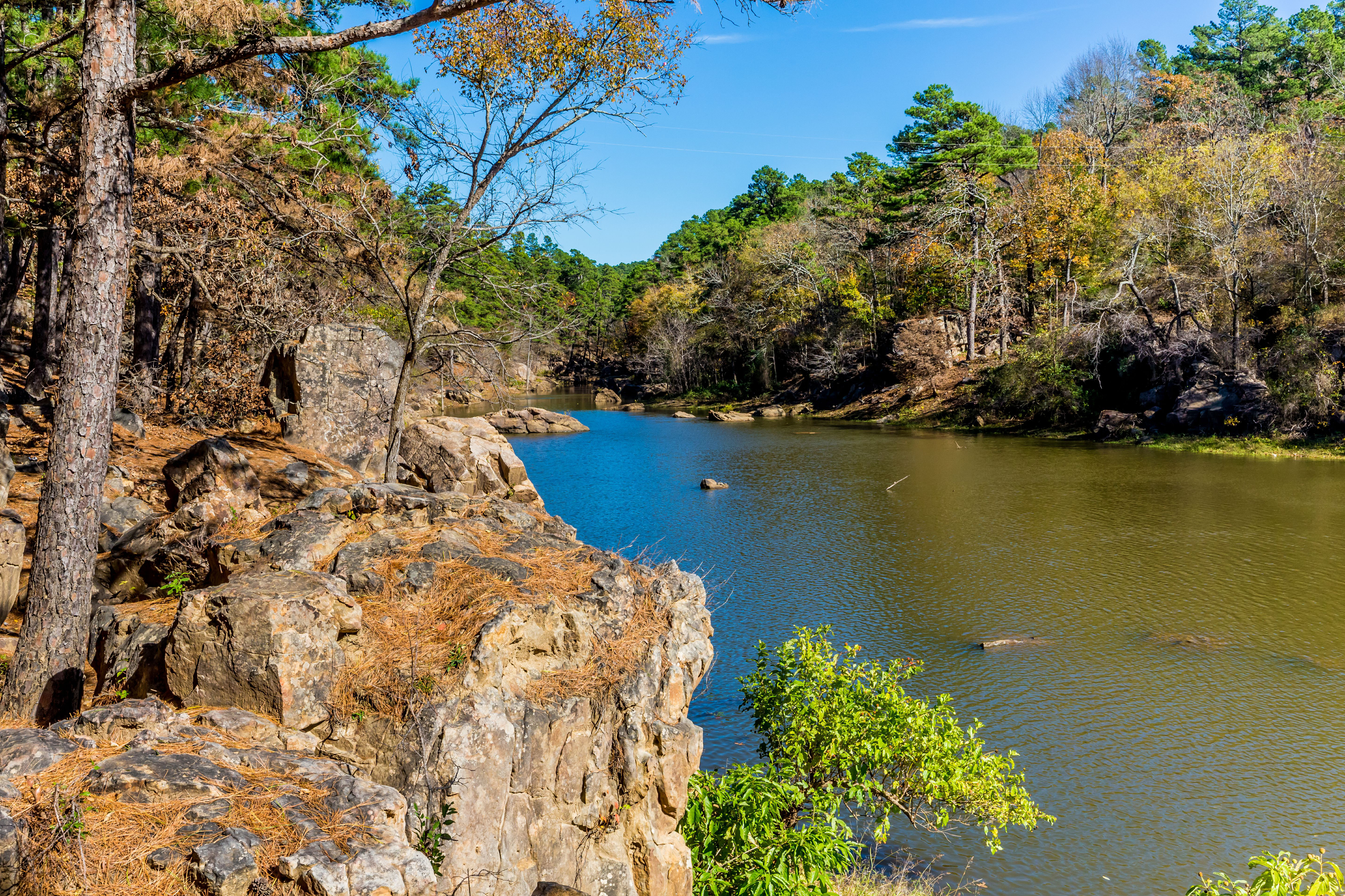 Millwood Pines Fall Scene in Oklahoma - Wrapped Canvas Photograph | Wayfair