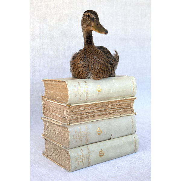 August Grove Tania Soderman Books I by Tania Soderman - Wrapped Canvas ...