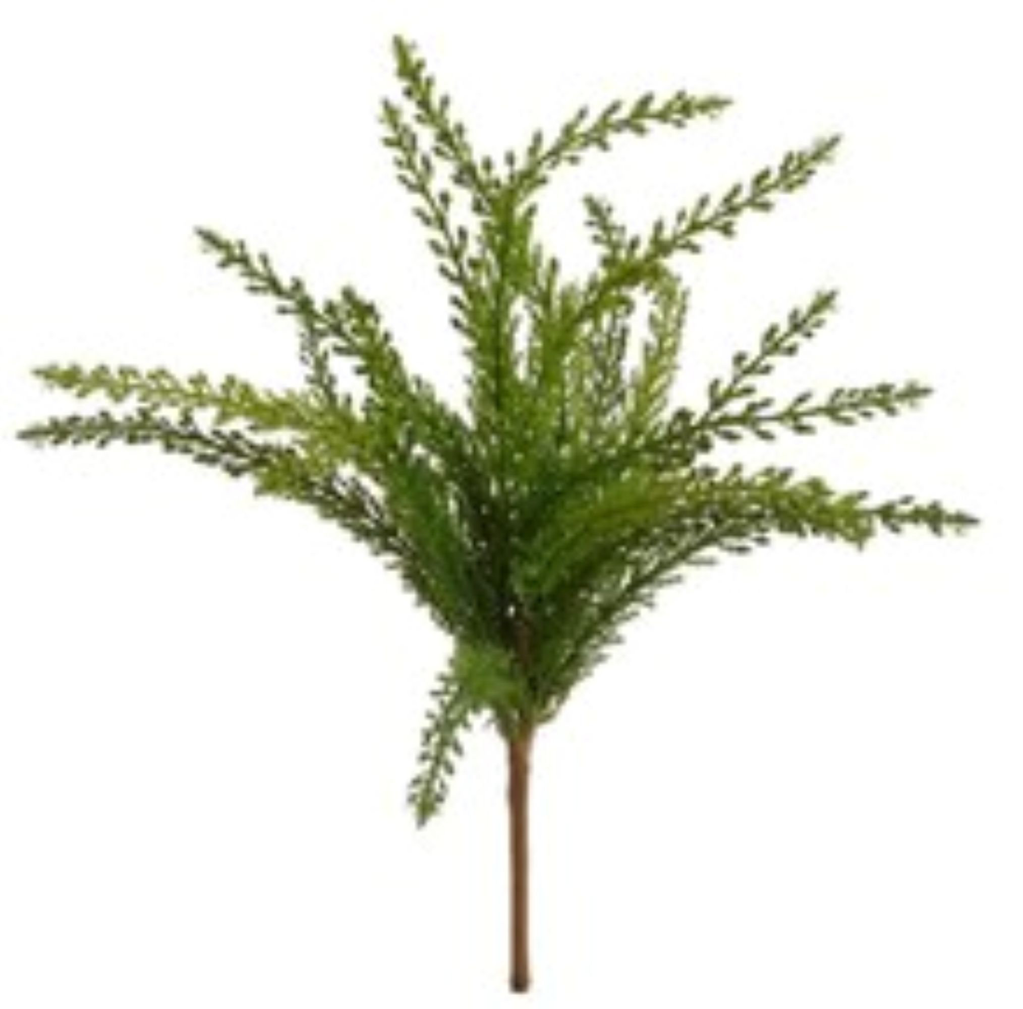 Dakota Fields 3pc 17" Cedar Bush 18 Fronds Green Faux - Wayfair Canada