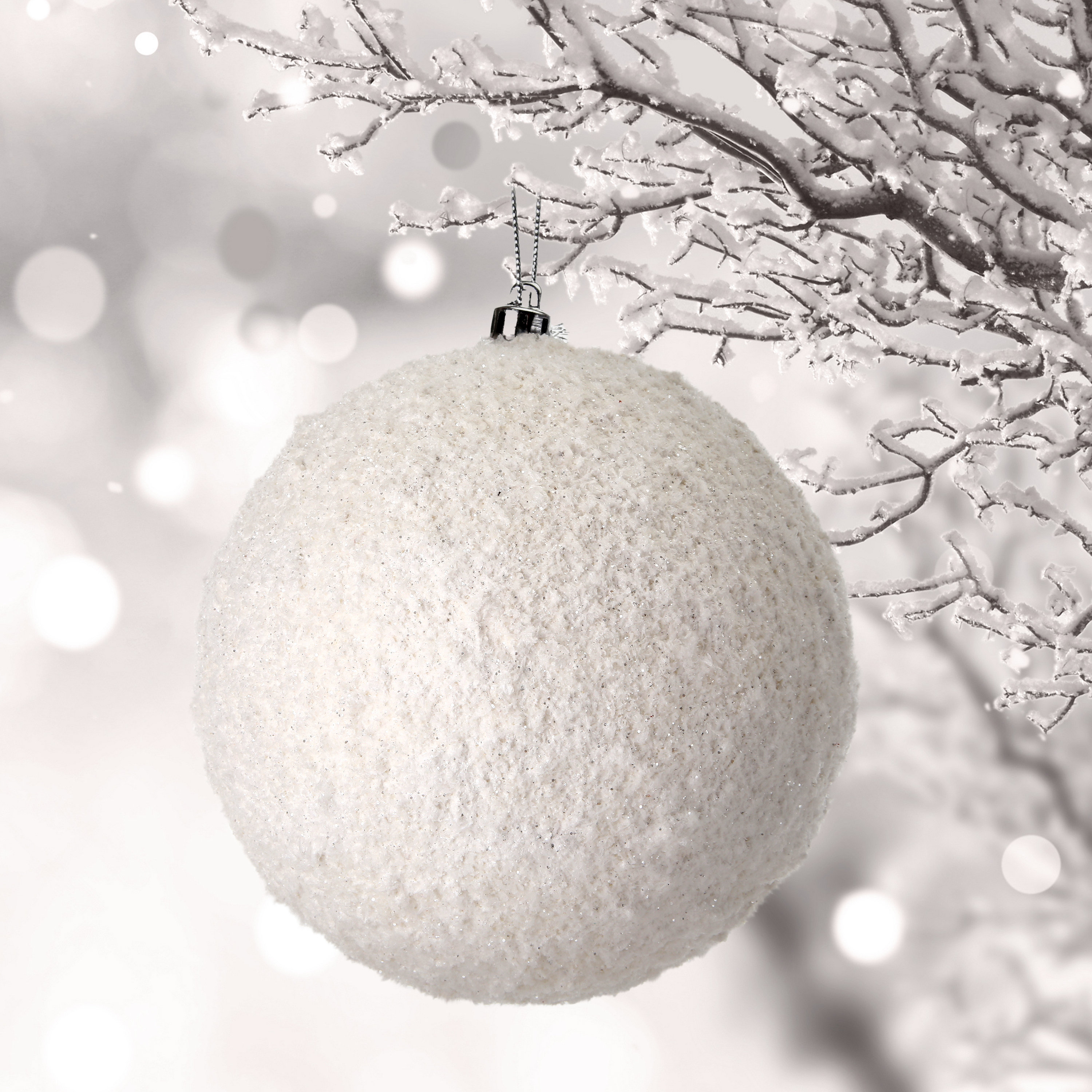 Regency International 6" Frosted Texture Snowball Ornament Set of 4 ...