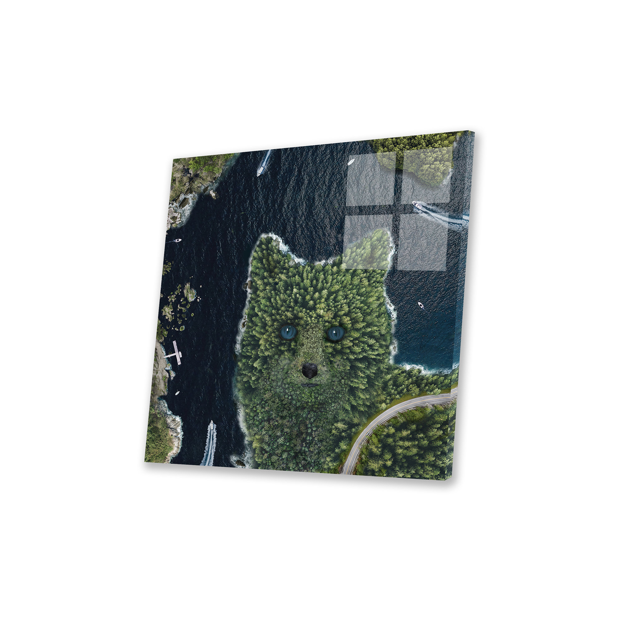 Millwood Pines Fox Point From Above by David Loblaw | Wayfair