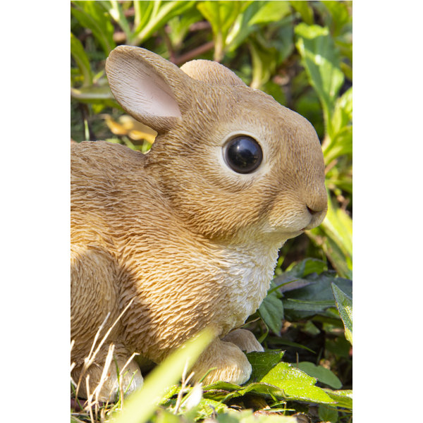 Hi-Line Gift Ltd. Sitting Rabbit Statue & Reviews | Wayfair