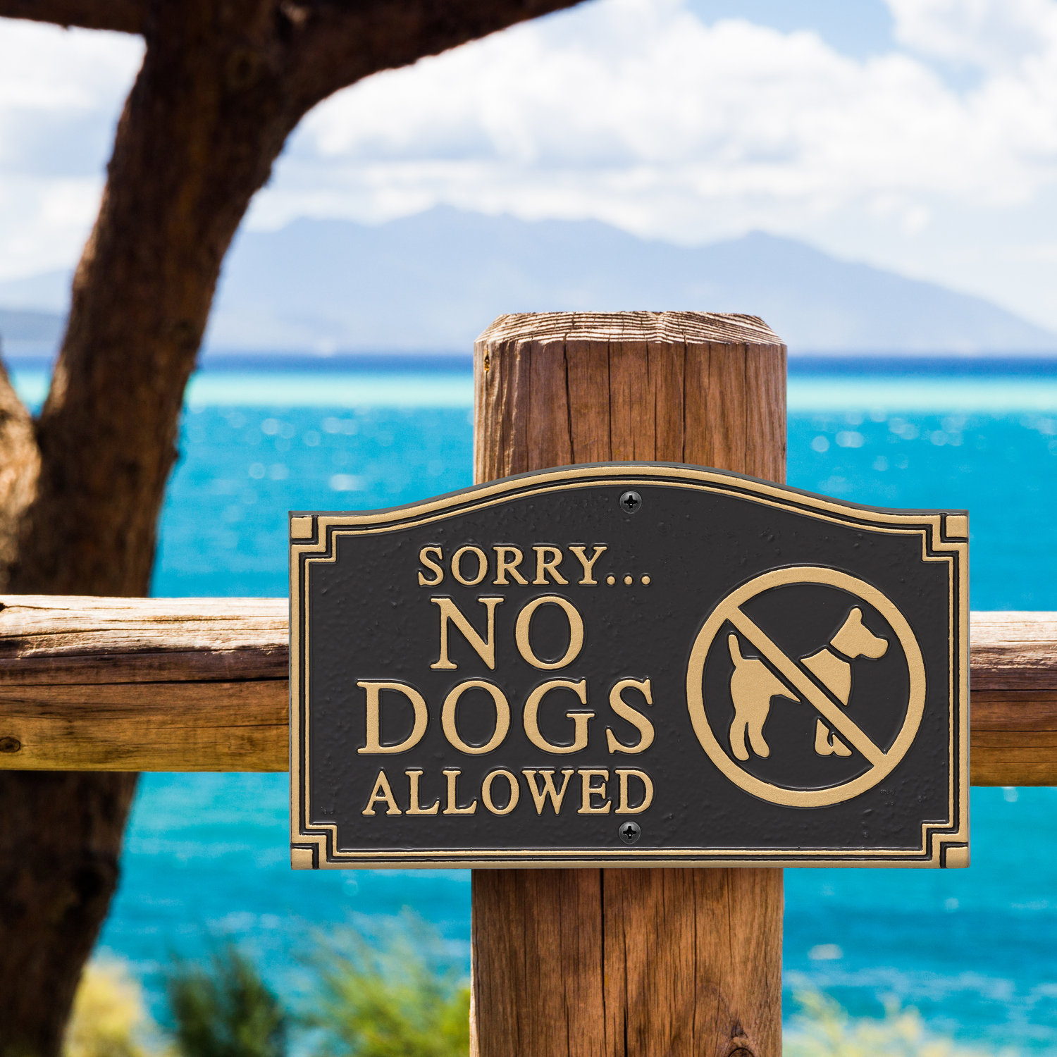 Whitehall Products Sorry No Dogs Allowed Garden Sign | Wayfair
