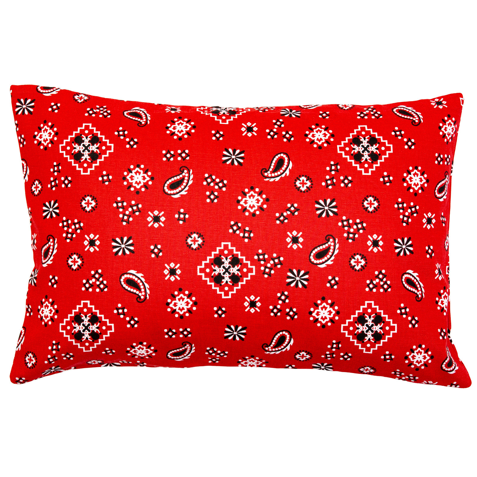 The Pillow Collection Allen Lumbar Rectangular Pillow Cover & Insert ...