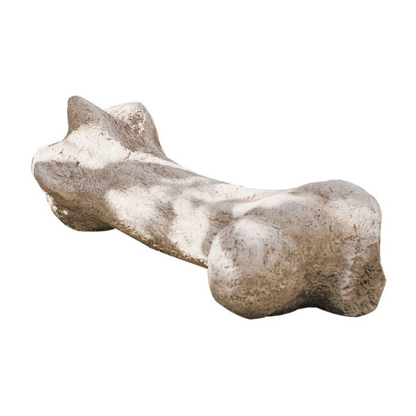Design Toscano Gigantic Dinosaur Bone Statue & Reviews | Wayfair