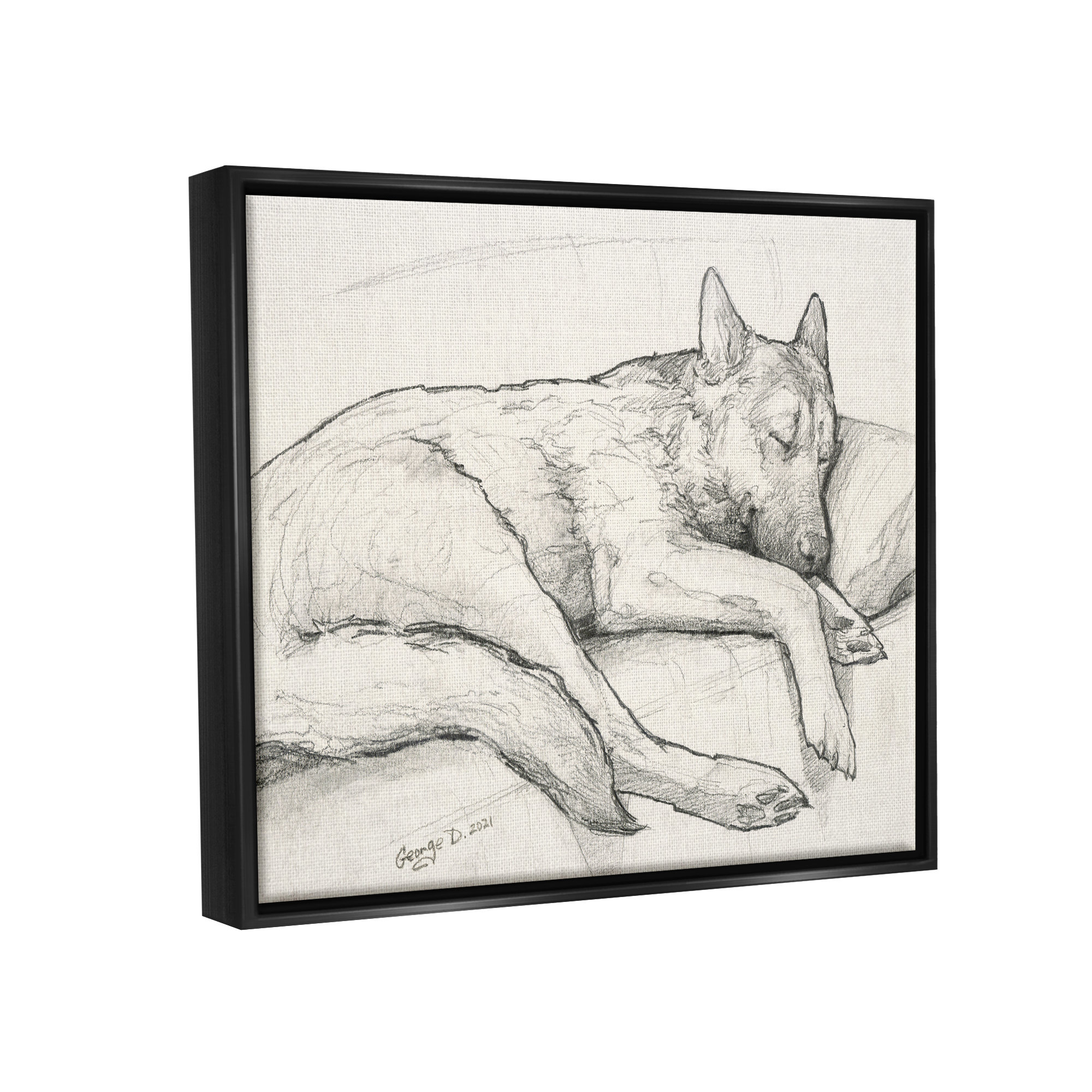 Stupell Industries Dog Curled Up Resting Detailed Graphite Pencil ...