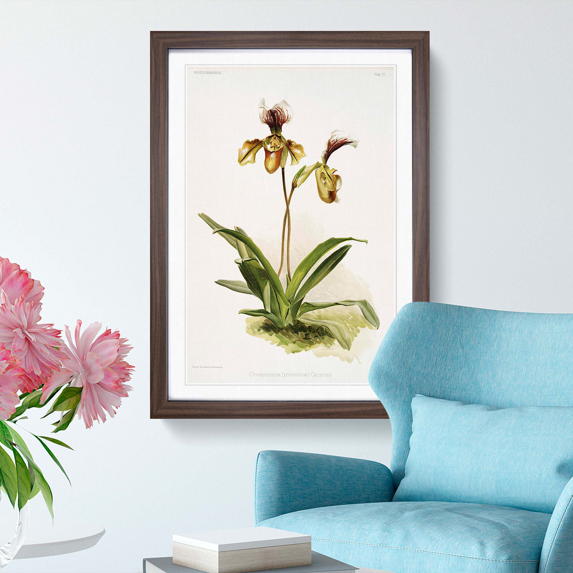 East Urban Home Magnolia Flowers Illustration Tab. 77 by Frederick ...
