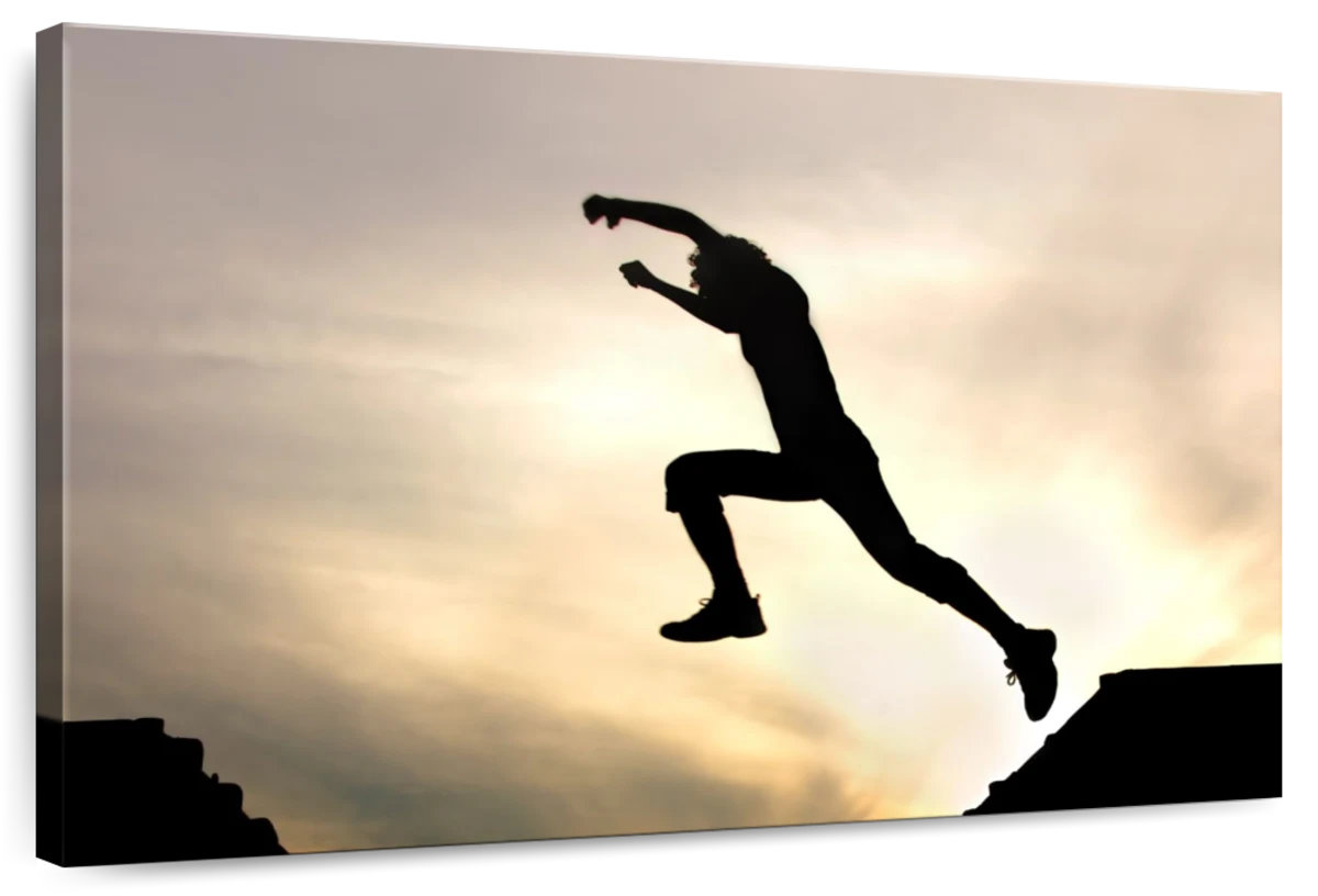 Elephant Stock Roof Jumping | Wayfair