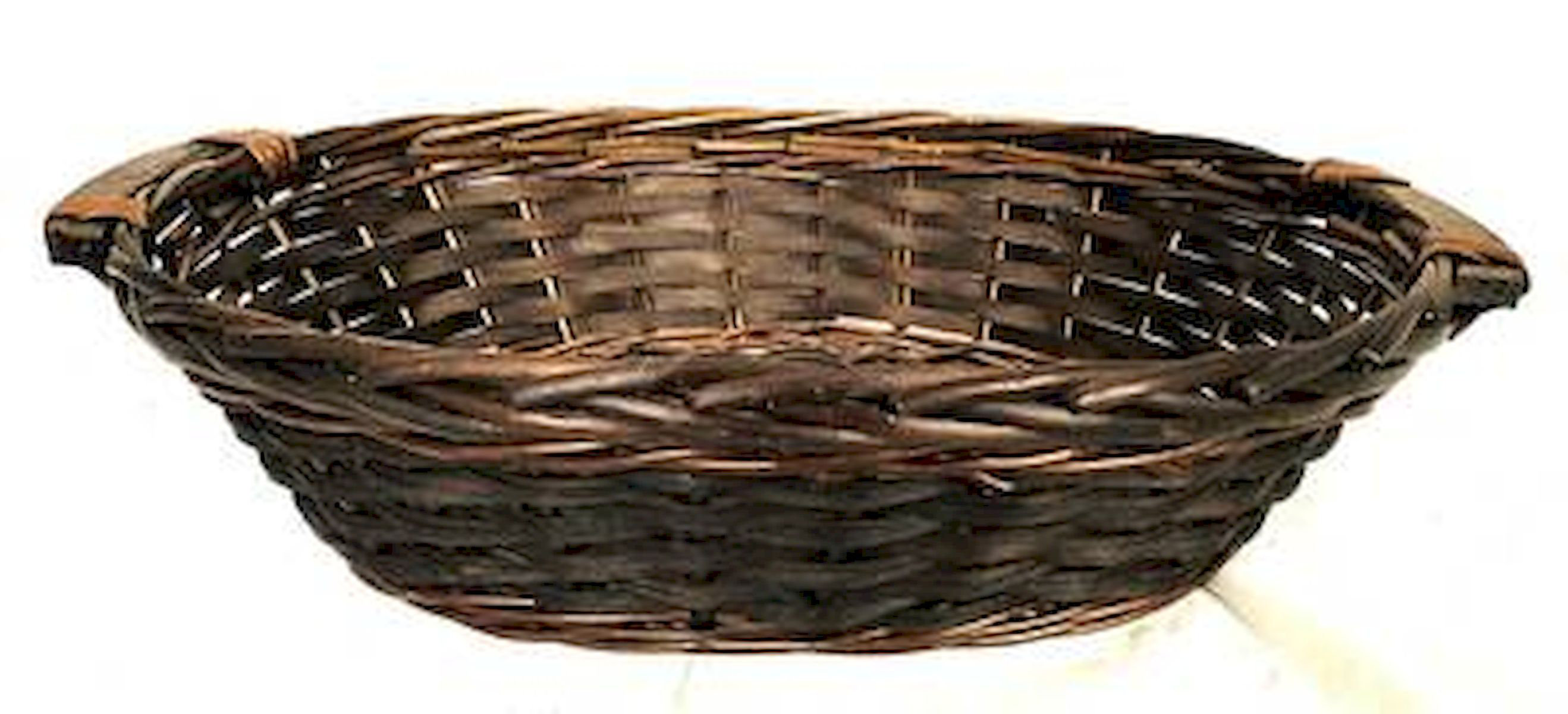 Bayou Breeze Basket | Wayfair