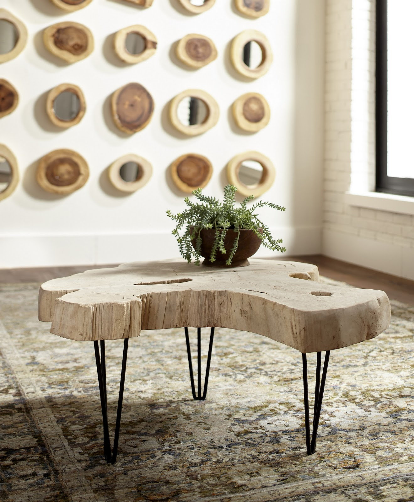 Phillips Collection Bleached 3 Legs Coffee Table | Wayfair