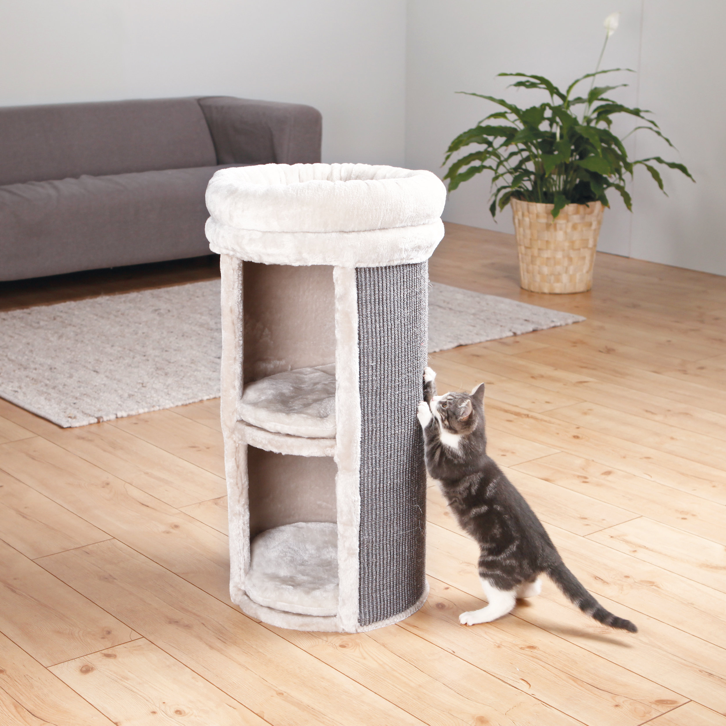 TRIXIE 29" Mexia Cat Condo & Reviews - Wayfair Canada