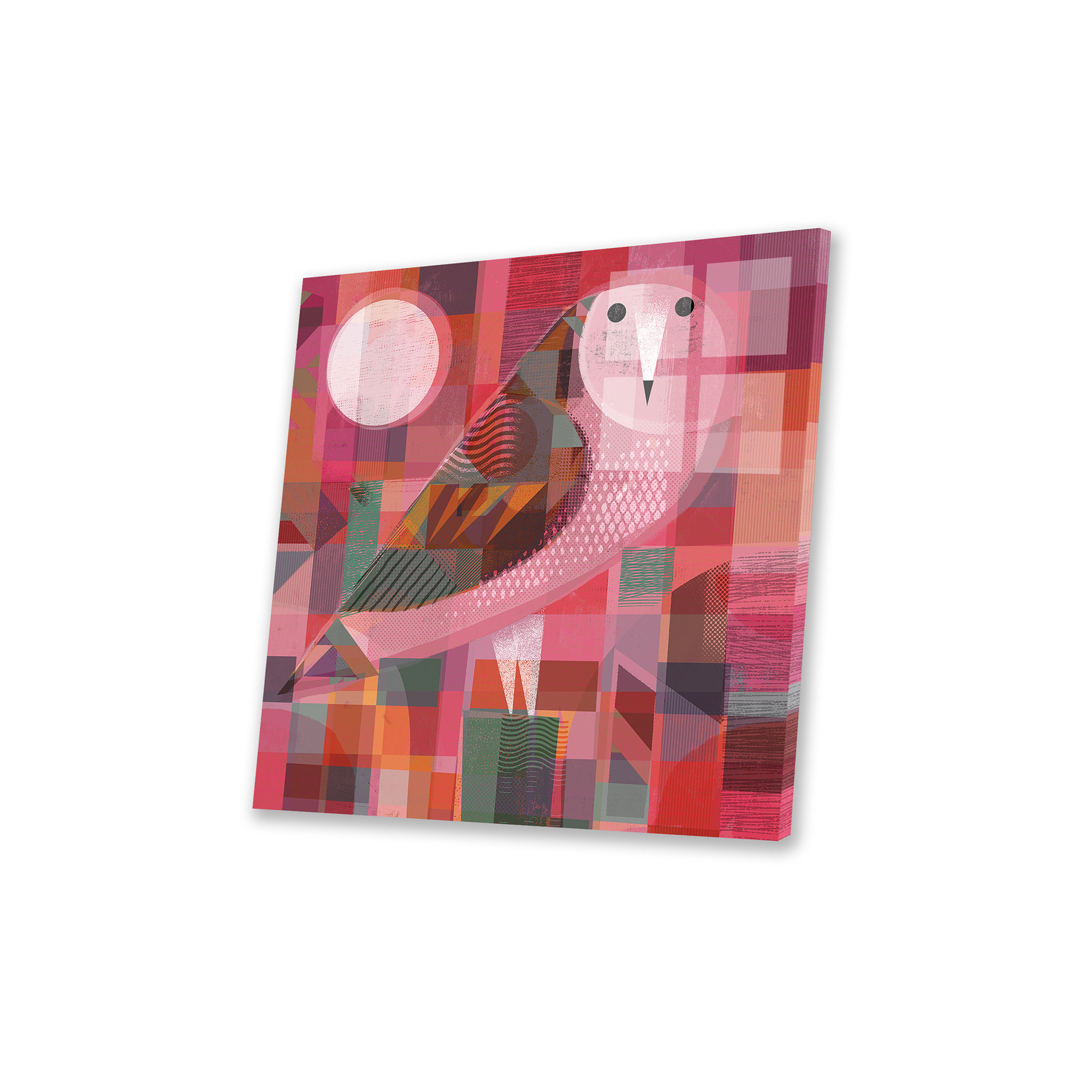 Millwood Pines Red Owl On Plastic / Acrylic by Gareth Lucas Print | Wayfair