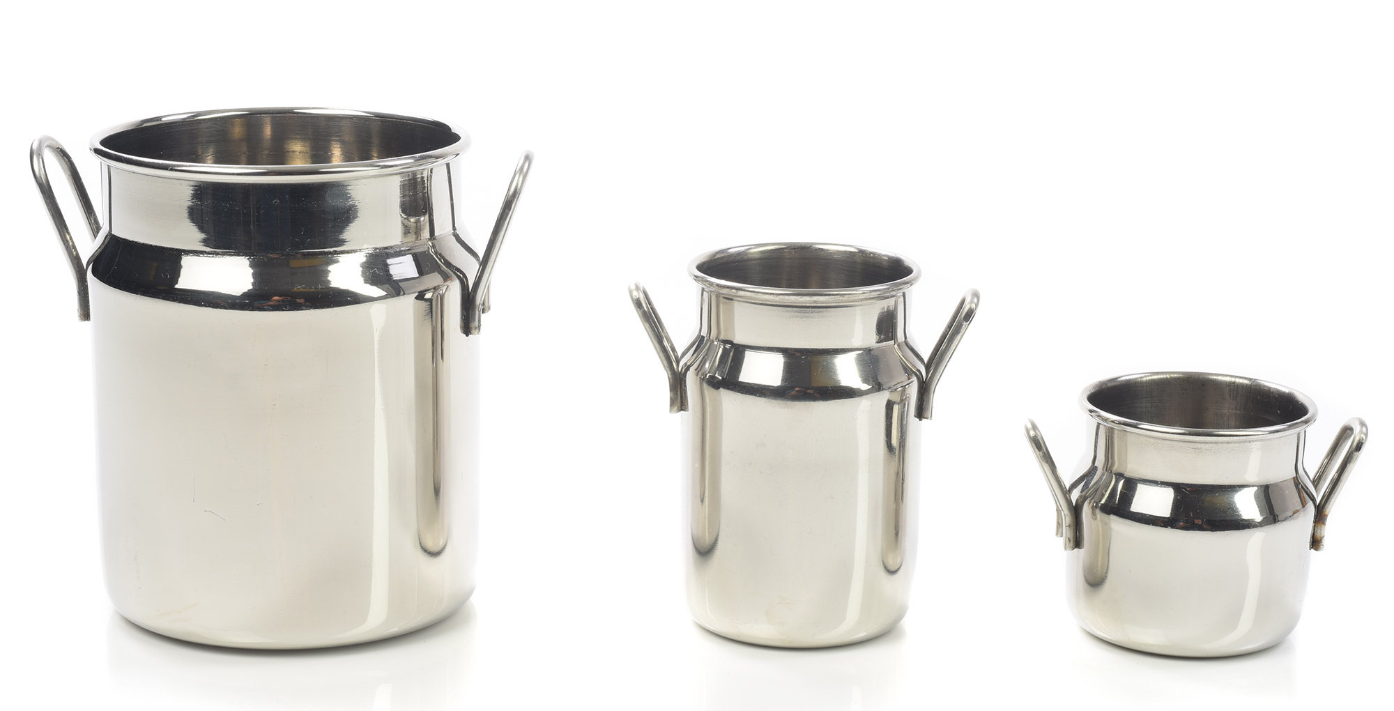 Rebrilliant Matt Milk Pail 3 Container Food Storage Set | Wayfair