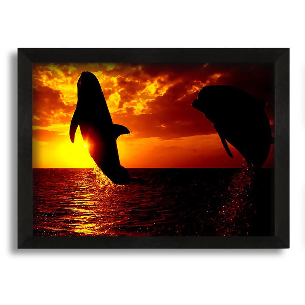 House of Hampton Dolphins Sunglow Framed Print | Wayfair.co.uk